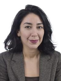 Straffskalorna för vissa allvarliga våldsbrott (Betänkande 2016/17:JuU14 Justitieutskottet ...