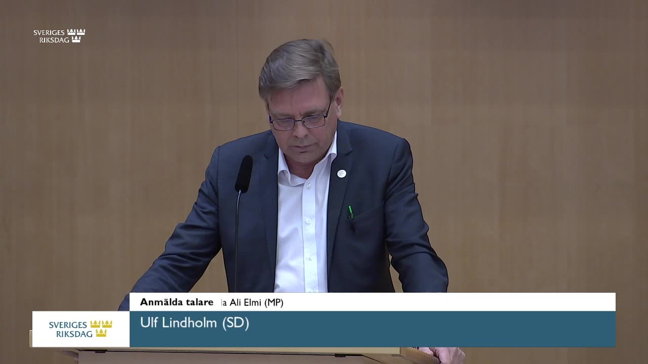 Ulf Lindholm (SD) | Sveriges riksdag